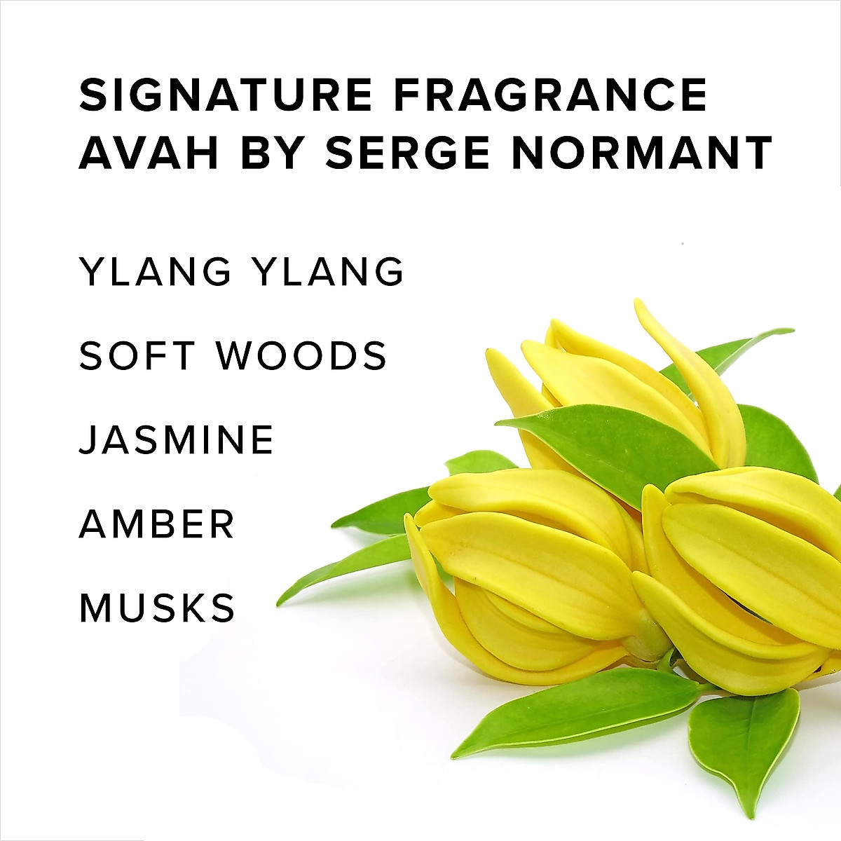 Serge Normant Dream Big Instant Volumizing Conditioner for Women and Men, Volume Conditioner, Hair Products, Moisturizing Conditioner, Detangler, Nourishing for Dry or Frizzy Hair, 8 fl oz