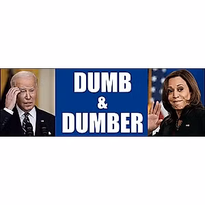 Biden and Kamala Dumb and Dumber Bumper Sticker (Funny Anti Joe and Harris Vinyl Decal (3 x 9 inch)