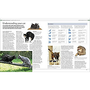 The Cat Encyclopedia: The Definitive Visual Guide (DK Pet Encyclopedias)
