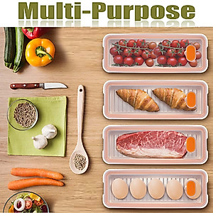 JUXYES Bacon Storage Container for Refrigerator, Stainless Steel Bacon Storage Box for Fridge with Transparent Lid, Airtight Bacon Storage Keeper, Deli Meat Saver Cuts Food Storage Organizer