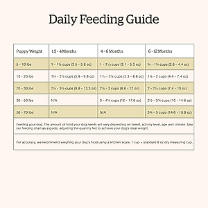 Now Fresh Grain-Free, Dry Dog Food, Real Meat and Fish, Turkey, Salmon and Duck Puppy Recipe, All Breed Size, 3.5 lb Bag