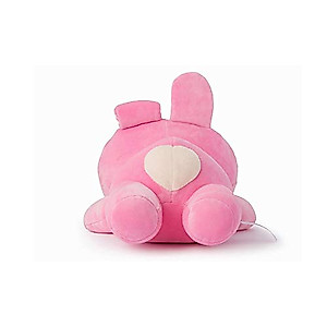 Lerion Pillow Doll Plush Small Plush Puppets Toy Bangtan Boys Throw Pillow Cushion Perfect for Home/Car/Office/Travel/School Decor Great Gift (Cooky)