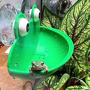 OWMOSYX Frog Habitat with Suction Cup, 2 Pcs Cute Fish Tank Accessories Frog Dish Holder Frog Decor Frog Terrarium Decor for Tree Frog Toad Tadpole, Plastic, Green