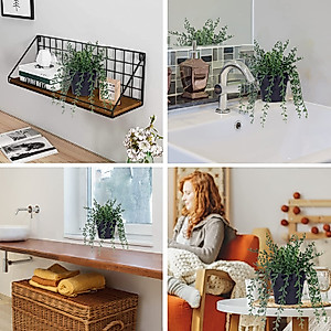 HUANGXIN Fake Plants Artificial Succulents Planters Realistic Faux Plant Mini Potted String of Pearls for Home Garden Office Decor