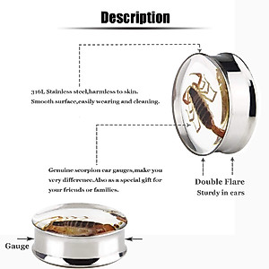 Awinrel Ear Gauges Plugs Genuine Scorpion Inlay Stainless Steel Double Flare Tunnels Stretching Expander Body Piercing Jewelry 2 Pieces 1" 25mm