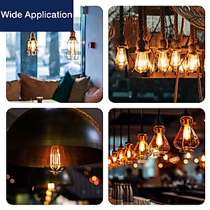 FLSNT 40W Equivalent LED Edison Bulbs with Amber Glass, 4W ST19 Dimmable Vintage LED Light Bulbs for Pendant Light, 90+ High CRI, 2200K Warm White, 400LM, E26 Base, 6 Pack