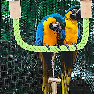 Ipetboom Parrot Stand Bars Parrot Bite Toy 2pcs Parrot Perch Platform Cage Bird Climbing Stand Bird Bungee Toy for Parakeet Cockatoo Conure Lovebirds Finch Canaries Bird Cage Stand Parrot Rope Perch