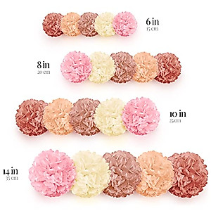 Avoseta Tissue Paper Pom Poms - Set of 20 - Sizes of 6", 8", 10", 14" - Party Decorations for Birthdays, Weddings and Special Occasions - Blush Pink, Coral Peach, Dusty Rose, Sienna Red, Cream