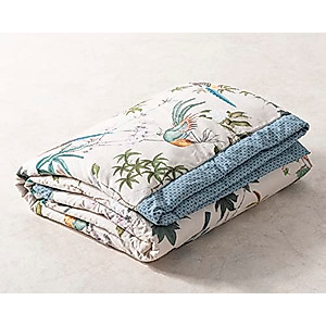 Maison d' Hermine Hokuzai Cotton Throw Blanket Bohemian Bedding Lightweight and Breathable for Couch Sofa Bed Travel (50"x60")