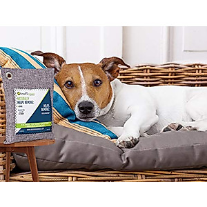 Breathe Green Bamboo Charcoal Odor Eliminator Bag (3 Bags), Activated Charcoal Odor Absorber, Natural Freshener Removes Odors and Moisture, Odor Eliminator for Home, Pets, Car, Closet, Basement, RV