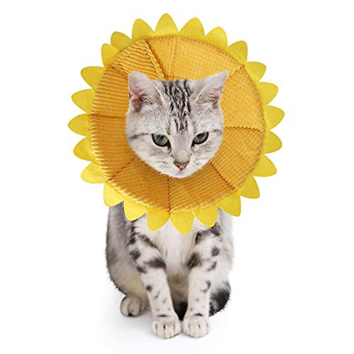 SLSON Cat Recovery Collar Pet Cone Collar Soft Protective Cotton Cone Adjustable Fasteners Collar for Cat and Puppy, Yellow (S)