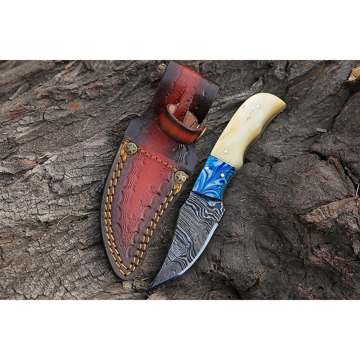 KNIFEIFY skinner fixed blade Knife: Handcrafted Elegance with Bone Handle - Perfect for Collectors and Outdoor Enthusiasts (CAMEL BONE)