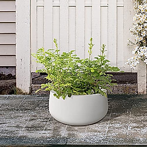 Kante 16" Dia. Round Pure White Finish Concrete Bowl Planter, Outdoor Indoor Large Planter Pot with Drainage Hole for Garden, Patio, Balcony, Deck, Living Room (RC0051B-C80011)