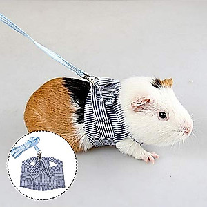 Small Animal Harness and Leash Guinea Pig Rabbit No Pull Comfort Padded Cotton Stripe Vest Suit for Chinchilla Puppy Kitten and Other Small Pets - Size S (Blue)