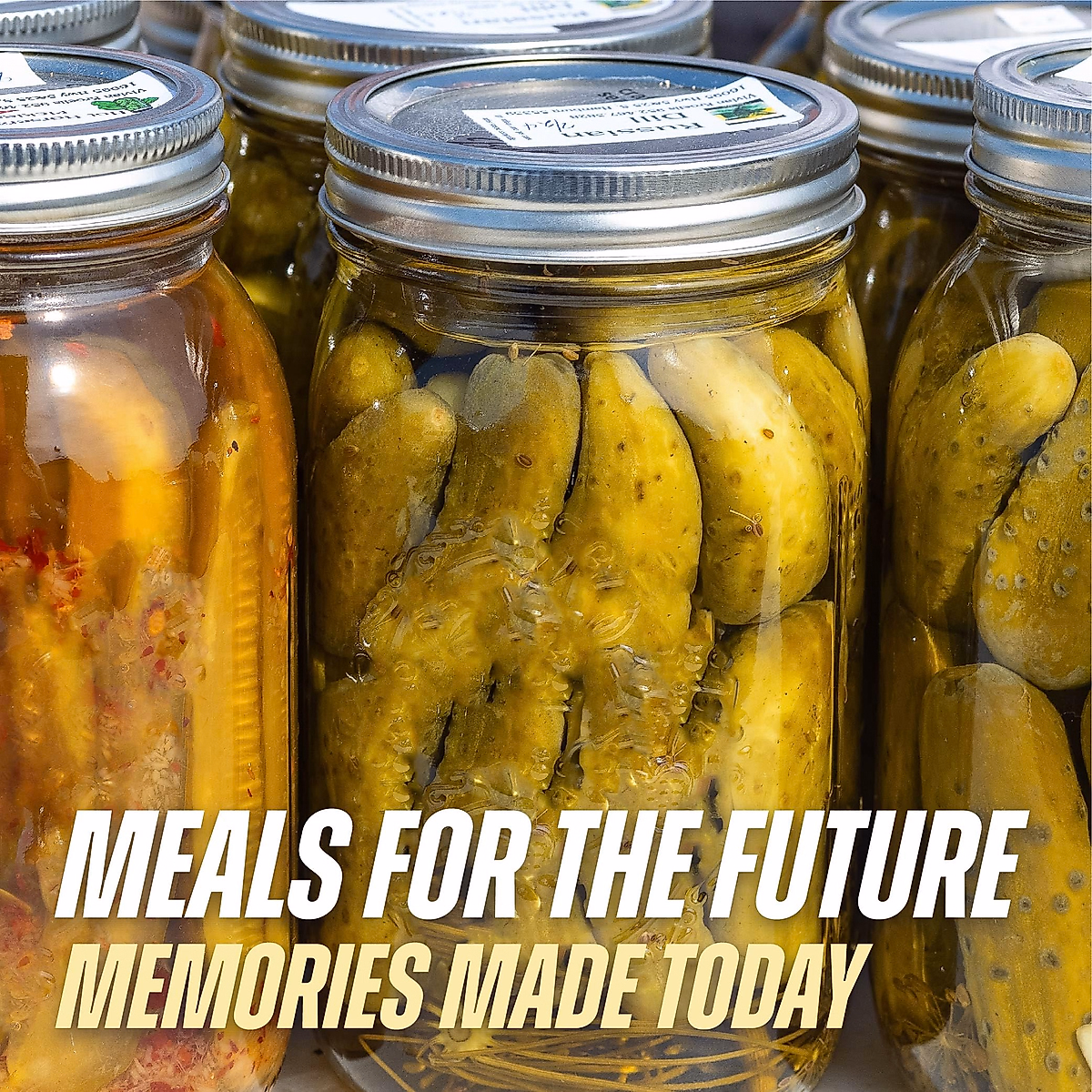 Denali Canning Lids | 24-Month Seals with PreserveLock | Fits standard Mason Jars | a USA Company (Regular Mouth, 5 Packs)