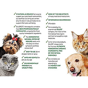 OLLOPETS Energy, Organic Homeopathic Remedy for All Pets, 1 Fl Ounce