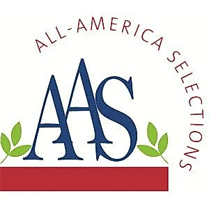 David's Garden Seeds Pea Snap Sugar Ann FBA-5594 (Green) 100 Non-GMO, Heirloom Seeds