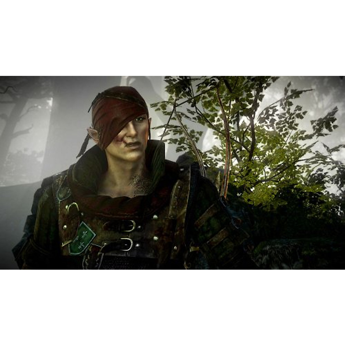 The Witcher 2: Assassins Of Kings Enhanced Edition