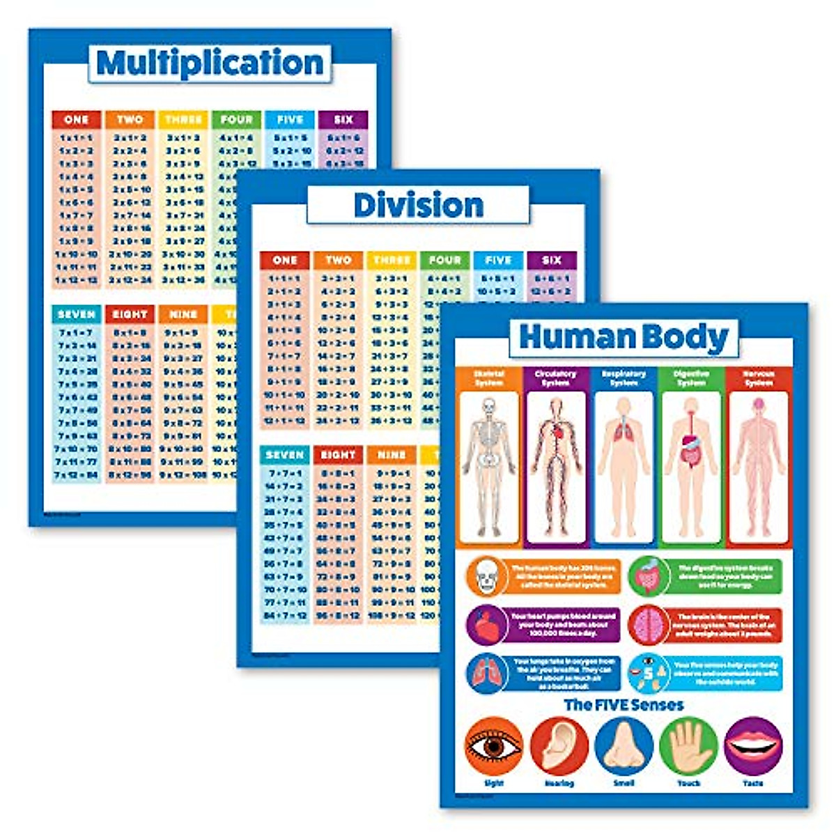 Palace Learning 3 Pack - Multiplication Tables Poster + Division + Human Body Chart for Kids (LAMINATED, 18" x 24")