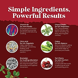 Vegan Uric Acid Cleanse and Detox - Daily Kidney Cleanse and Uric Acid Support for Adults - Tart Cherry Extract Capsules with Detox Cleanse Herbal Blend for Men and Women's Joints Kidneys and More