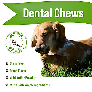 Buck Bone Organics Natural Dental Chew 12 Chews in Pack
