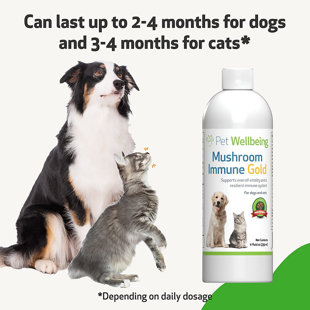 Pet Wellbeing More Mushrooms Kit for Dogs & Cats with Cancer - Value Size - Immune System Support and Antioxidant Protection - Turkey Tail, Reishi, Maitake, Astragalus, Blessed Thistle, Sheep Sorrel