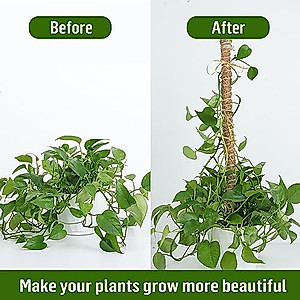 Whonline Moss Pole, 4 PCS 27 Inches Plant Sticks Support, Plant Stakes for Indoor Plants, Monstera, Pothos