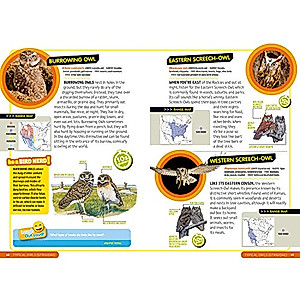 Ultimate Explorer Field Guide: Birds