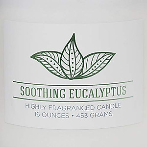 Colonial Candle Soothing Eucalyptus Scented Jar Candle, Wellness Collection, 2 Wick, 16 oz - Up to 120 Hours Burn