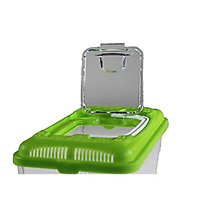 Penn-Plax Small World Habitat – Portable Clear and Transparent Plastic Tank – Excellent for Small Critters and Creatures – Easy to Clean & Handle – 0.6 Gallon