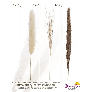 Spear SLENDERSUN Orchid Bouquet Dried Pampas Grass – Pack of 60 Pcs Tall Stems (17,7”) Soft & Fluffy Floral Bouquets Minimalist, Rustic, Luxury Home Garden Décor, White, Brown, Reed