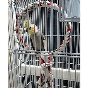 Bird Toys Metal Cotton Rope Swing Bird Toys Circle Ring Parrot Perch Swings Toys Balanced Ring Shape Parrot Cage Toys Bird Hanging Swing Ladder Chewing Toys(Color Randomly) (Large)