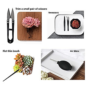 SDAE 15 Pieces Succulent Plants Tools,Mini Garden Hand Transplanting Succulent Tools Miniature Planting,Set for Indoor Miniature Garden Plant Care (Black)