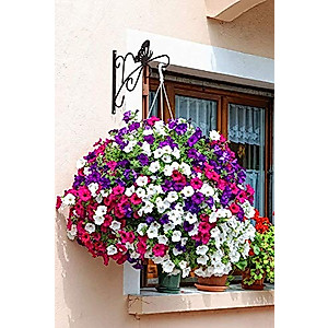 Amagabeli Hanging Plants Bracket Hanger 11" Wall Planter Hook Flower Pot Baskets Bird Feeder Wind Chime Lanterns Patio Garden for Outdoor Shelves Fence Screw Mount Arm Hardware Butterfly Black hook06