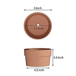 Fcacti 6 Inch Terracotta Shallow Succulent Pot - 6 Pack Large Terra Cotta Clay Pots with Drainage Hole, Round Shallow Terra-Cotta Bonsai Pot for Indoor/Outdoor Plants