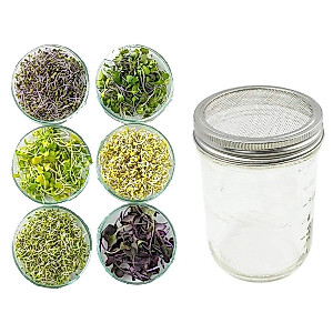 2 Pcs Stainless Steel Sprouting Jar Lids with 2 Pcs Stainless Steel Sprouting Stands for Wide Mouth Mason Jar(Jar Not Included)