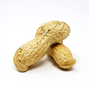 Sky Ecommerce Crazy Nuts | Salted Roasted Peanuts in Shell, 2.5lb | Roasted Peanuts in Bulk, Salted Peanuts in The Shell, Peanuts Salted in Shell, Peanuts in The Shell for People.