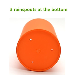 KeepingcooX Small Knife Block Universal Knife Holder without Knives - Convenient Storage for Various Knives and Kitchen Tools with Washable Removable Bristles, Height 13.5 cm/5.3 In (Cylinder)