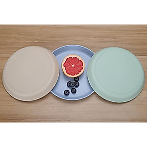 LuckyZone 9 Inches Reusable Wheat Straw Plates, Sets of 4 | Lightweight & Unbreakable Plate for Home Kitchen | Dishwasher & Microwave Safe | BPA Free & Eco-Friendly (9 Inches)