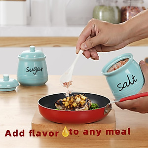 ONTUBE 12oz Sugar and Salt Bowls with Lid and Spoon, Ceramics Condiment Pots,Seasoning Jar Spice Container for Kitchen,Dishwasher Safe (Turquoise)