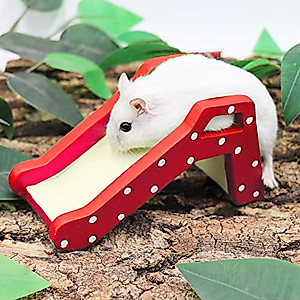 Hermit Crabs Climbing Ladder Bridge, Resin Reptile Climbing Toys, Small Animals Cage Accessory, Tank Accessory, Suitable for Hermit Crab Hamster Rat