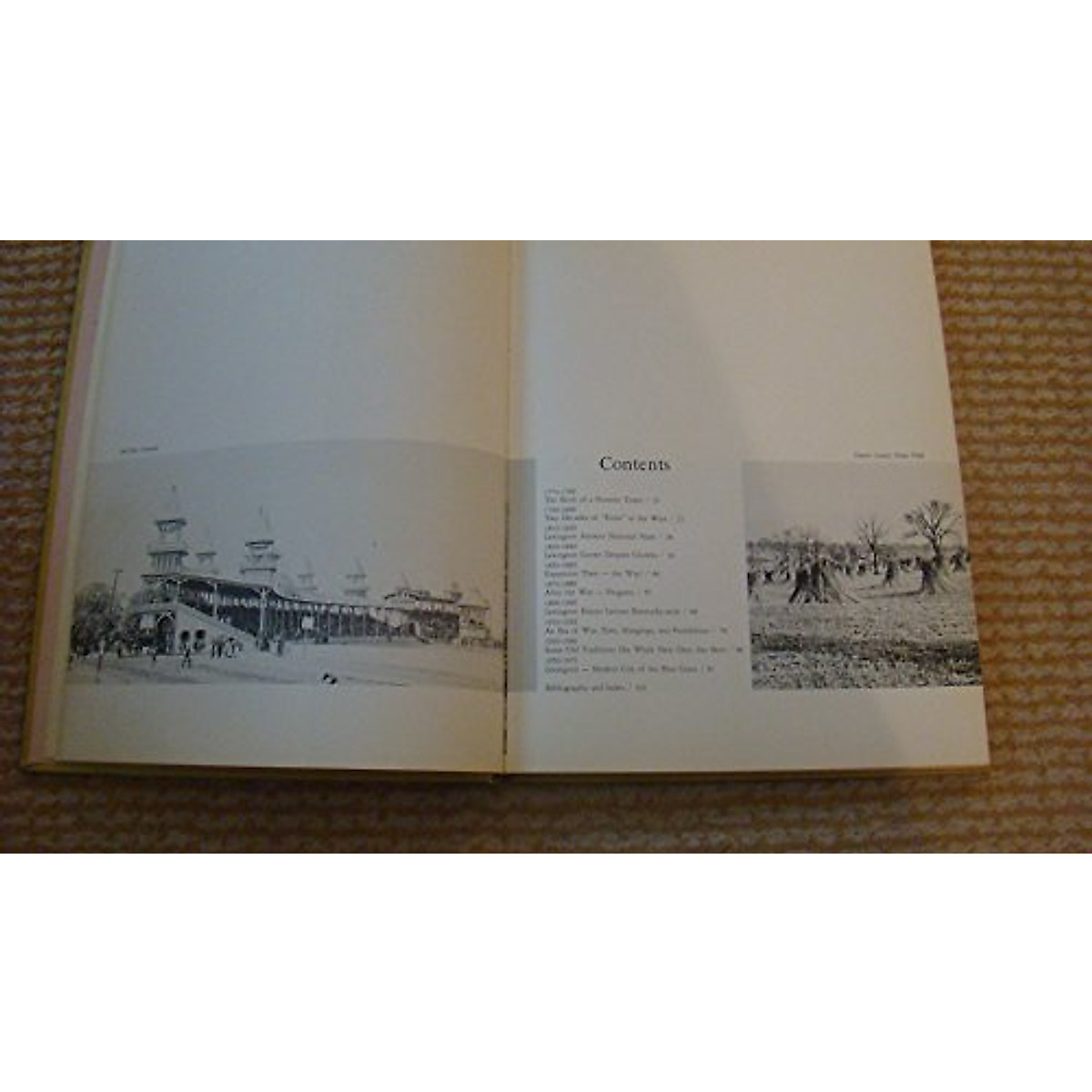 The Squire's Sketches of Lexington