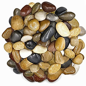 Polished Colored Stone Pebbles 10 Lb. 1” – 2” inch Pebbles for Plants, Fairy Gardens, Décor, Landscaping, Succulent, Terrarium, Decorative, 100% Natural Colorful Stone Pebbles, Multicolored Rocks