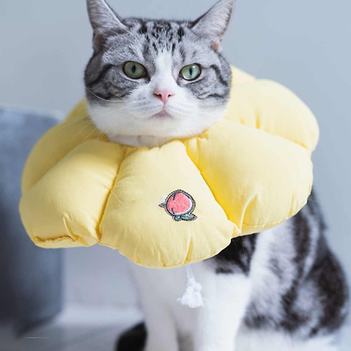 Cat Recovery Collar Soft Cute Waterproof Elizabethan Collar for Cats Cone Collar Protective Recovery kitten Collar for After Surgery to Prevent from Biting Scratching(ELC07-yellow-s)