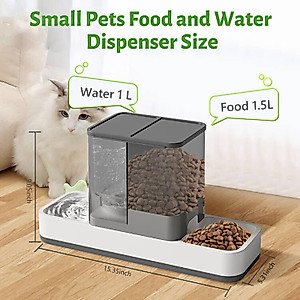 Yummy Sam Automatic Small Pet Feeder and Water Dispenser, 2 in 1 Gravity Cat Auto Pet Feeder and Waterer Set Feeder Dish for Small Medium Pets Dog Puppy Kitten (Grey)