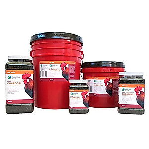 2qts Large Bird 100% Virgin Coconut Shell Granular Activated Charcoal - Not from China - for Health, Digestion, Feed Supplement, Scratch for Poultry, Pigeons, Parrots, Turkeys, Chickens and More