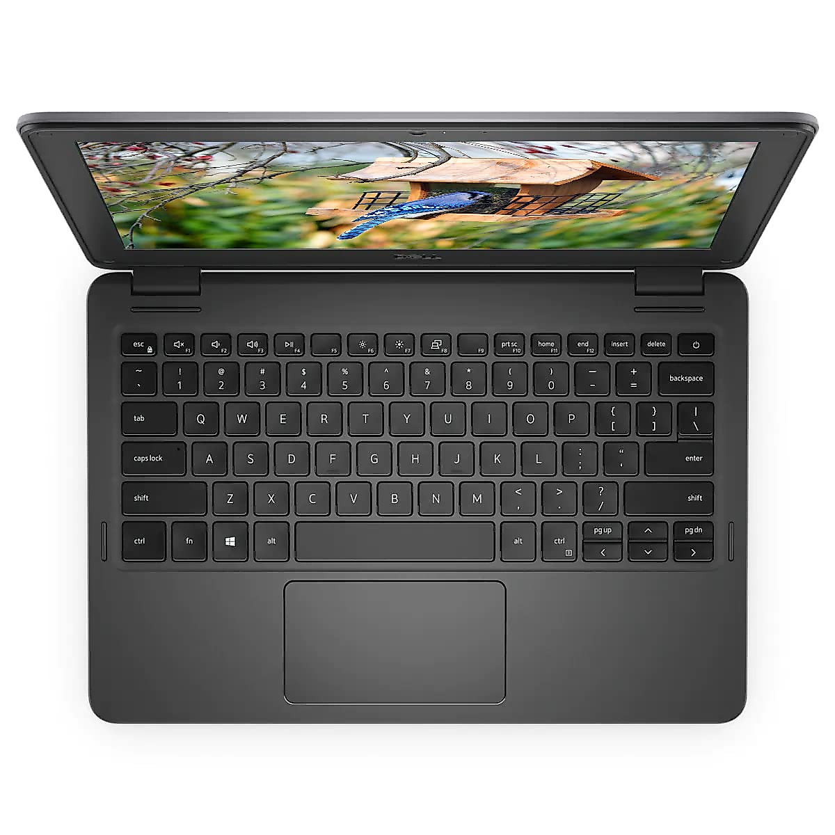 Dell Latitude 11 3120 Laptop 2 in 1 Notebook Touchscreen, WebCamera, Intel Pentium N5100 Processor, | 4GB Ram & 64GB SSD | WiFi and Bluetooth, Windows 10 Pro (Renewed)