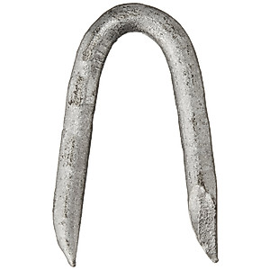 Grip Rite, 1-1/4" 114HGFS1 1.050 lb Galvanized Fence Staple, Color