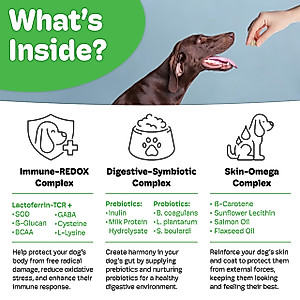 Boneo Emmuno Canine - Patented Digestive, Immune, Skin & Coat Health Supplement for Dogs - All Natural Lactoferrin, Probiotics, Prebiotics, Enzymes, Omega 3 Fish Oil and More - 90 Chewable Tablets