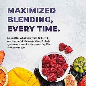 Cleanblend Ultra Blender, Low Profile Blender for Shakes and Smoothies - 40oz Compact Countertop Smoothie Blender/Maler - 8-Blade Stainless Steel, 1,000 Watt Motor, BPA-Free Tamper Wand Included